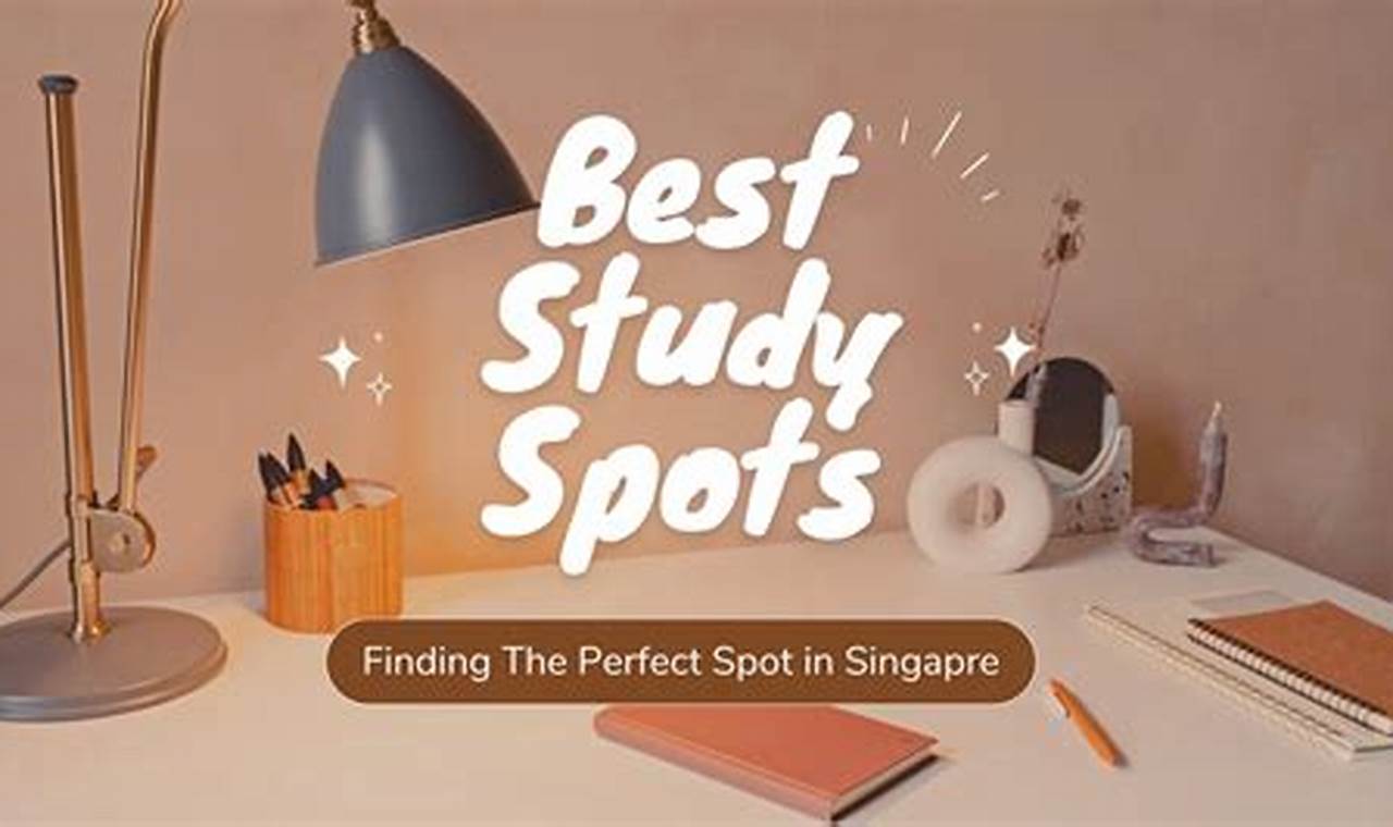 Best Study Spot Guide: Find Your Perfect Study Spot!