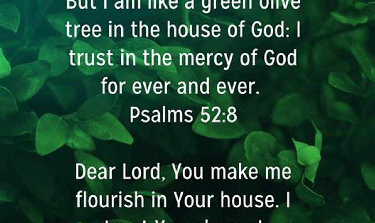 Unlock Psalm 52: Study Guide & Meaning
