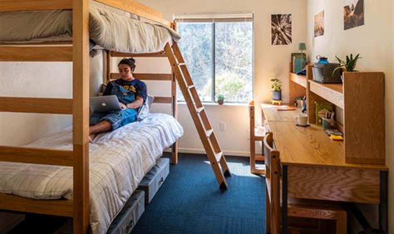 Your Guide to UCSC Study Rooms: Locations & Tips