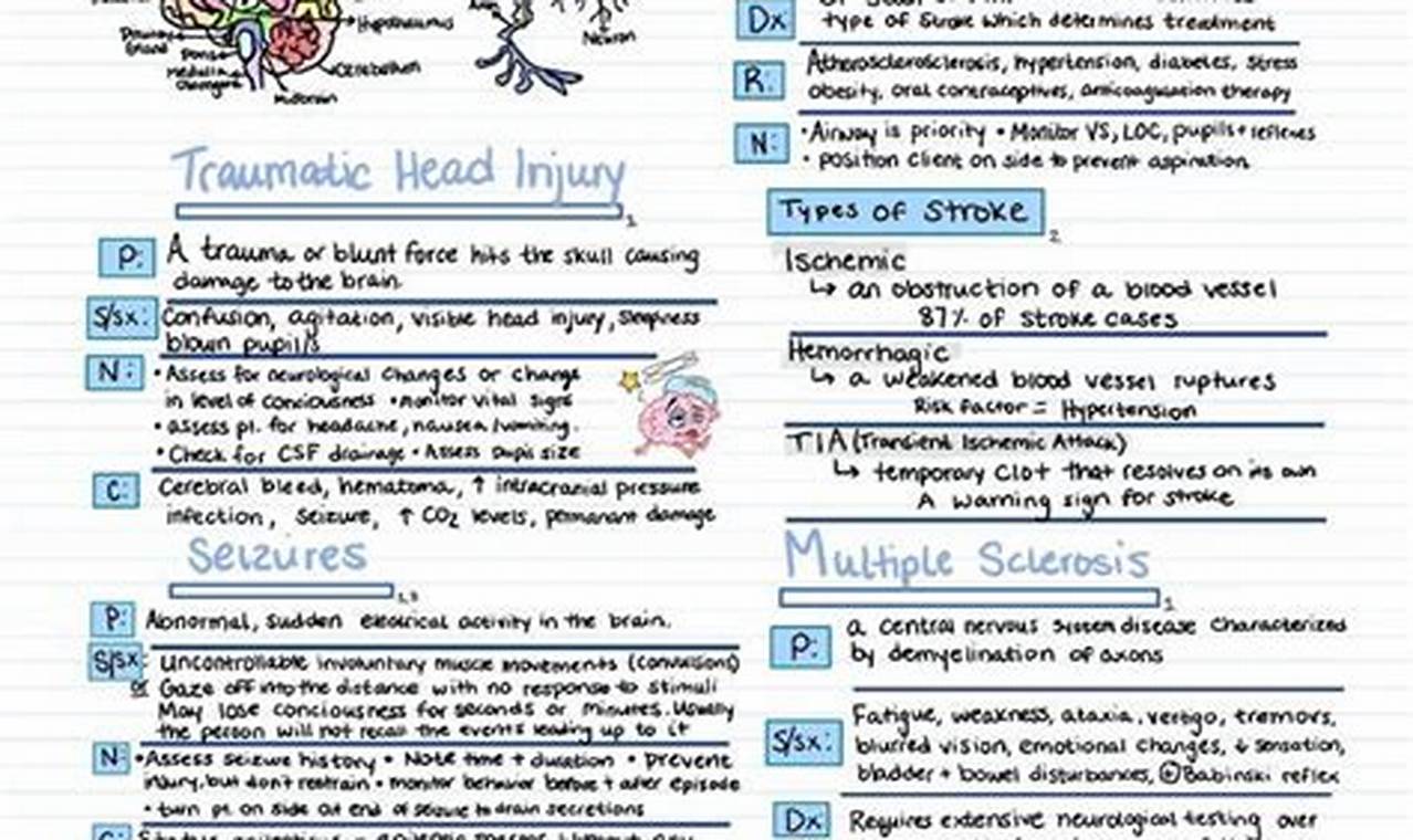 Best Nursing Study Notes: Your Guide to Success!