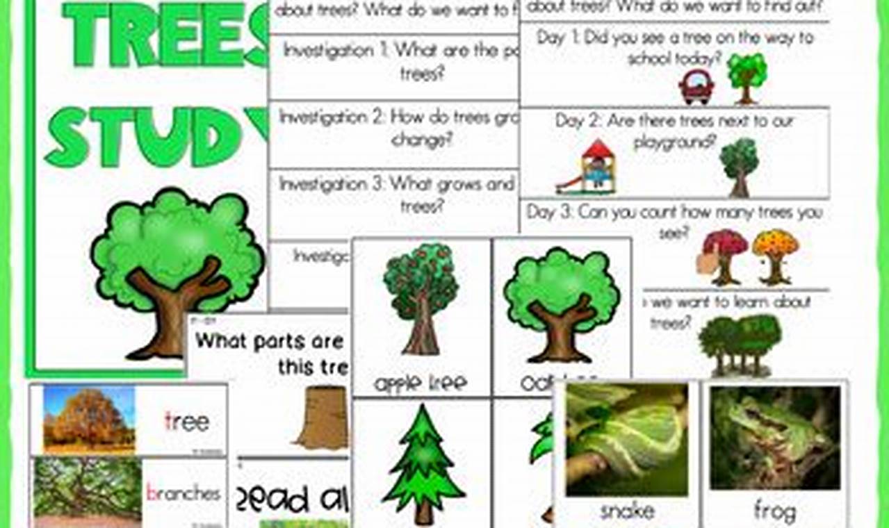 Get Started: Creative Curriculum Tree Week 1 Study Guide