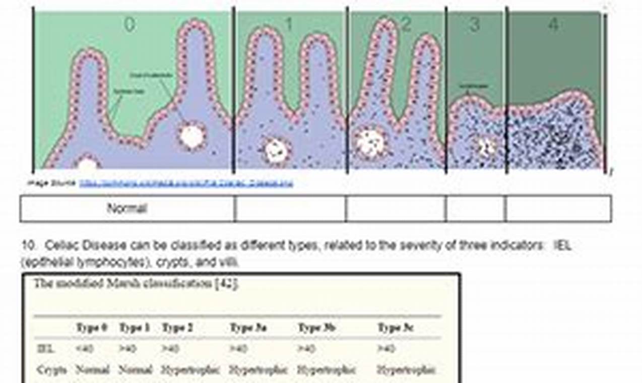 Celiac Case Studies: Answer Key & Solutions Guide